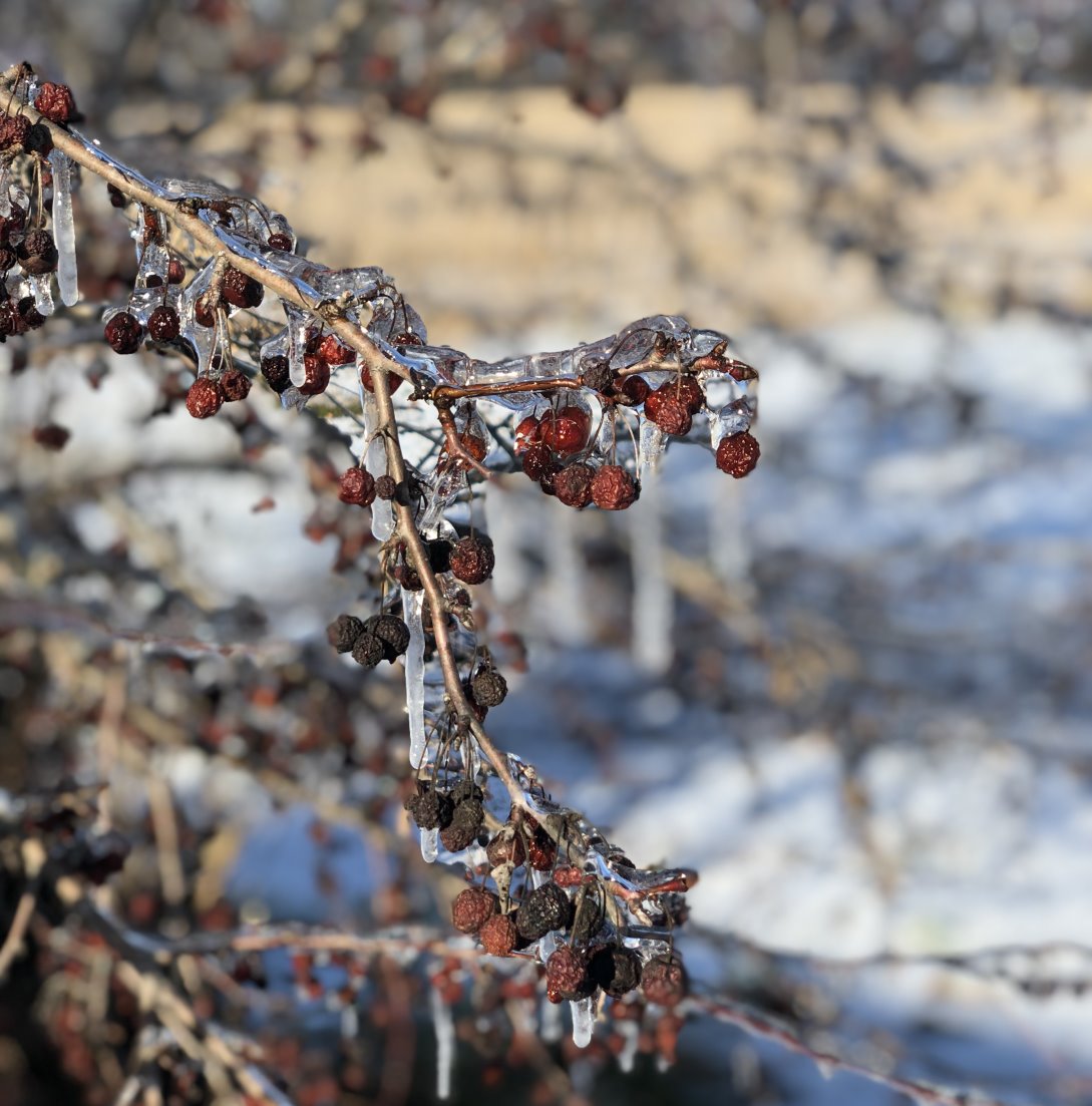 Preparing your family for a winter storm - Year of the Dad